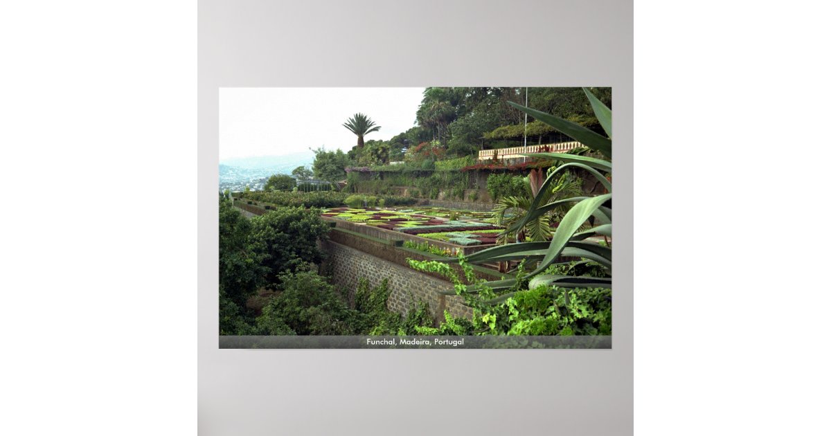 Funchal, Madeira, Portugal Poster | Zazzle