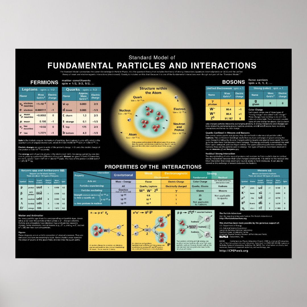 Fundamental Particles and Interactions Poster | Zazzle