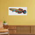 Fundulopanchax Gardneri Killifish Poster | Zazzle