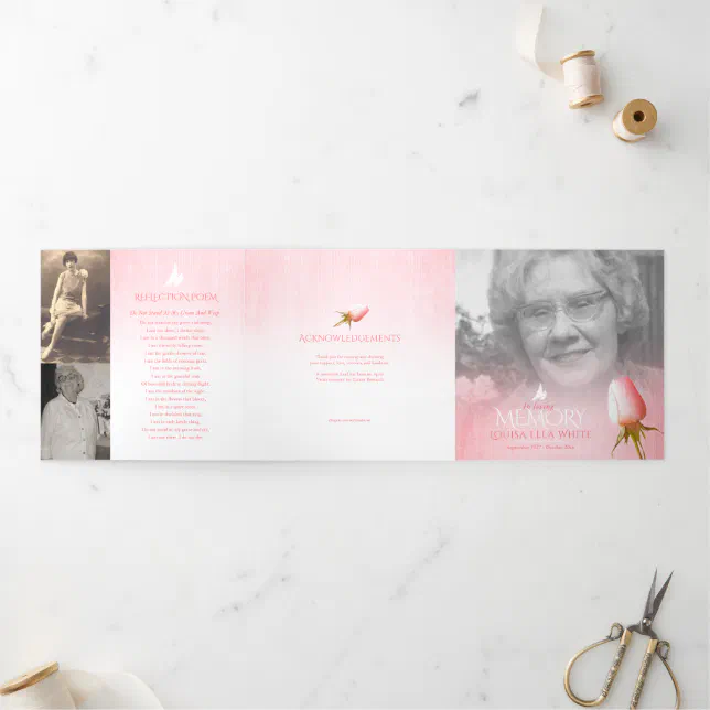 Funeral program order of service pink rose dove | Zazzle