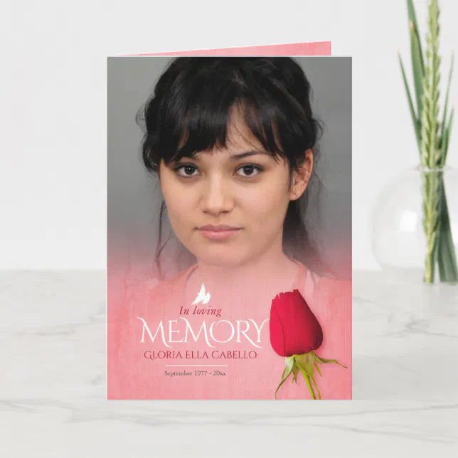 Funeral program order of service red rose | Zazzle