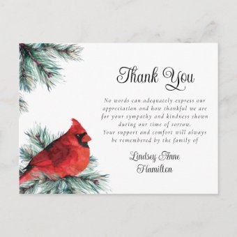 Funeral Thank You Red Cardinal Bird Evergreen Postcard | Zazzle