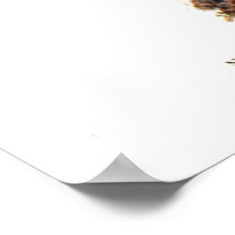 Fungi Poster | Zazzle