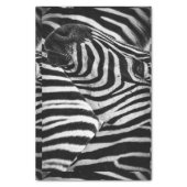 Funky Black and White Zebra Tissue Paper | Zazzle
