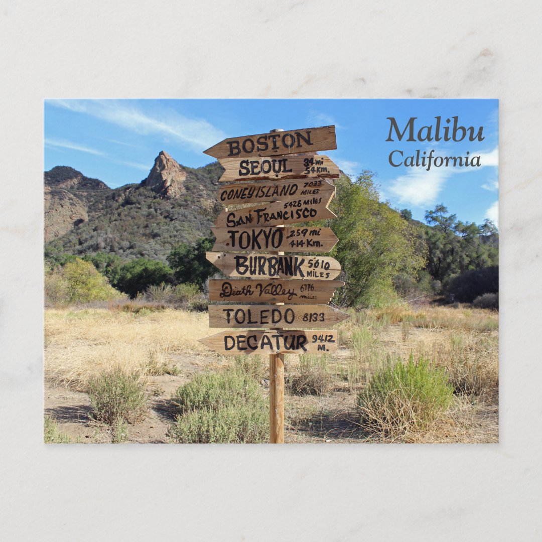Funky Malibu Postcard! Postcard | Zazzle