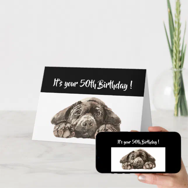 Funny 50th Birthday, Labrador Retriever Card | Zazzle