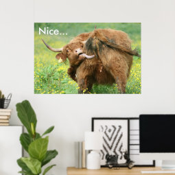 Funny Aberdeen Angus Cow Poster Print | Zazzle