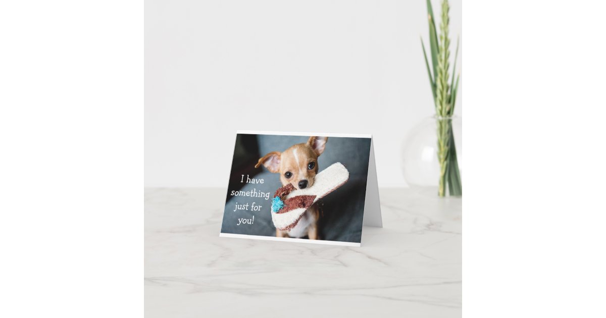 Funny adorable chihuahua dog birthday card | Zazzle