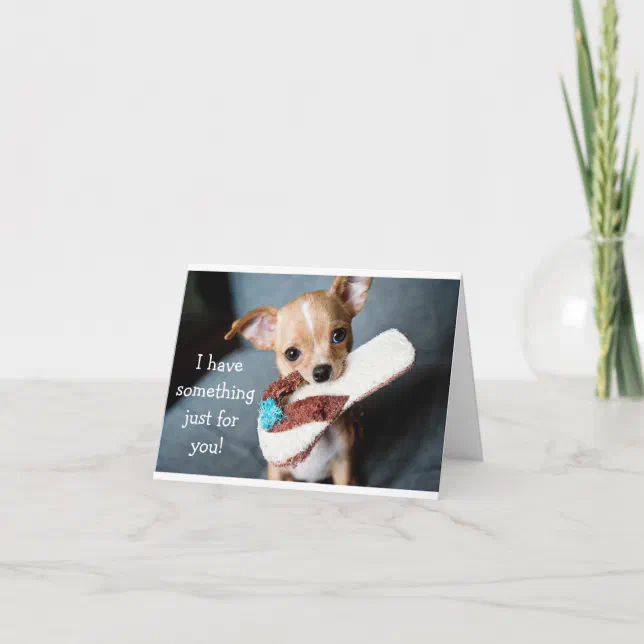 Funny adorable chihuahua dog birthday card | Zazzle