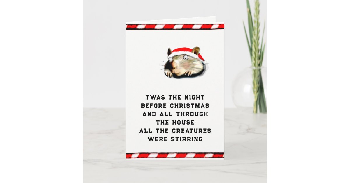 Funny Adult Christmas Holiday Card | Zazzle