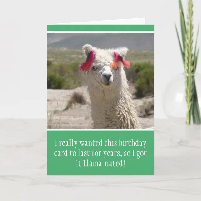 Funny Alpaca Llama Birthday Card | Zazzle