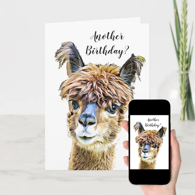 Funny Alpaca Llama Humor Birthday Card | Zazzle