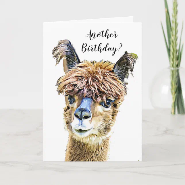 Funny Alpaca Llama Humor Birthday Card | Zazzle