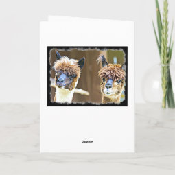 Funny Alpaca Llama Humor Birthday Card | Zazzle