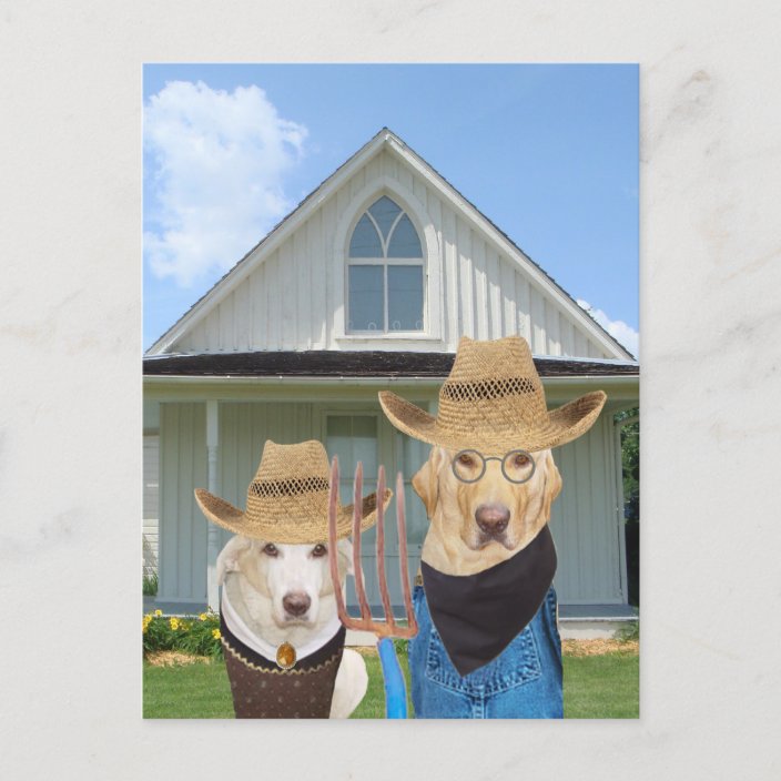 Funny American Gothic Dogs/Labs Postcard | Zazzle.com