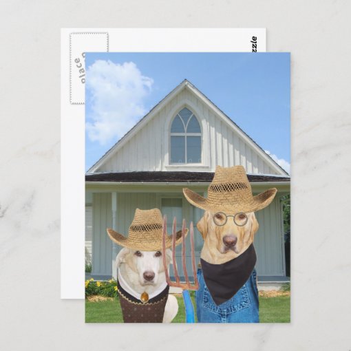 Funny American Gothic Dogs/Labs Postcard | Zazzle