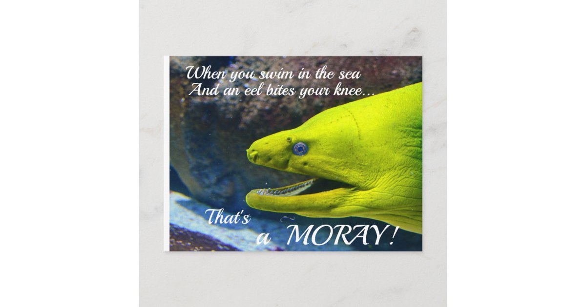 Funny Amore (a Moray) Valentine Postcard | Zazzle