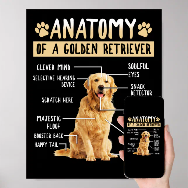 Funny Anatomy Golden Retriever Dog Lover Gift Poster | Zazzle