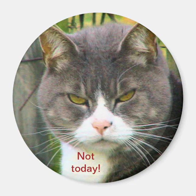 Funny ANGRY CAT saying, "NOT TODAY!" Magnet | Zazzle