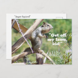 Funny Angry Squirrel Postcard | Zazzle