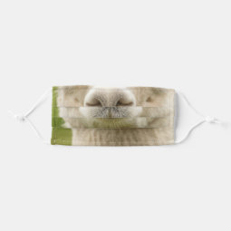funny animal face llama Alpaca Adult Cloth Face Mask | Zazzle
