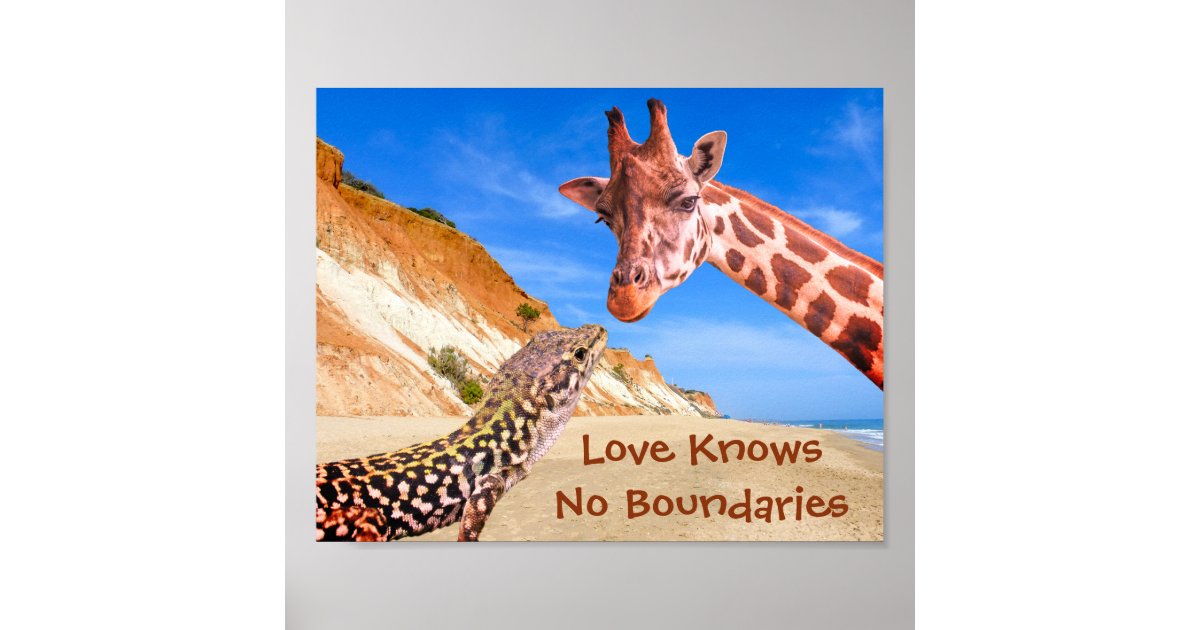 Funny Animal Photomontage Love Knows No Boundaries Poster | Zazzle