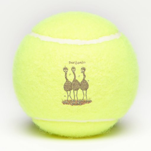 Funny Australian emu trio cartoon illustration Tennis Balls | Zazzle