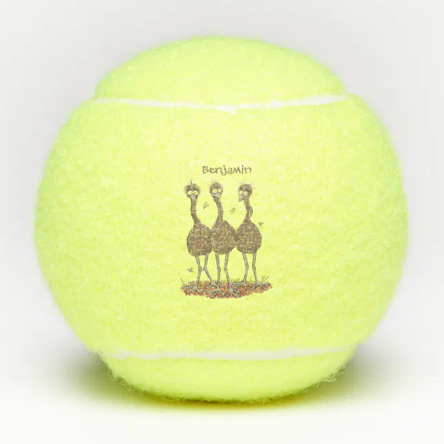 Funny Australian emu trio cartoon illustration Tennis Balls | Zazzle