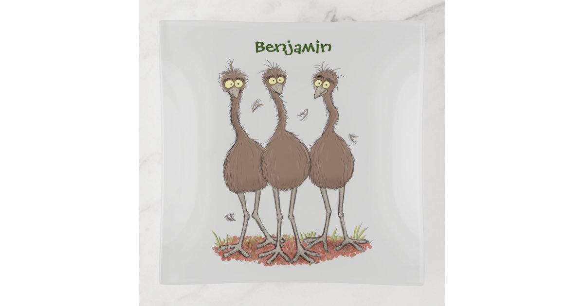 Funny Australian emu trio cartoon illustration Trinket Tray | Zazzle
