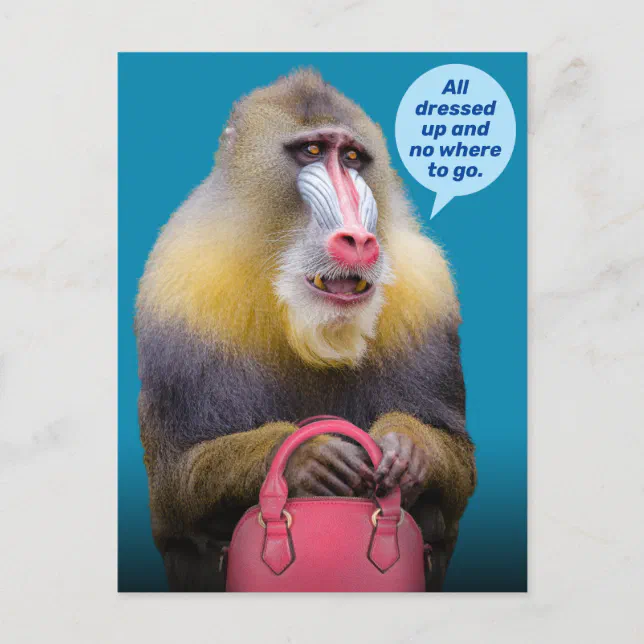 Funny Baboon All Dressed Up- No Where To Go Postcard | Zazzle