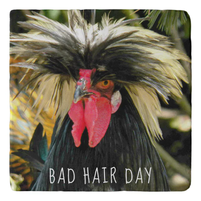 Funny Bad Hair Day Chicken Meme Trivet | Zazzle