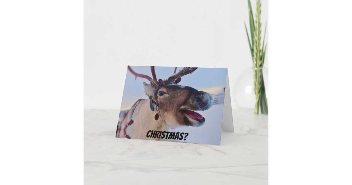 Funny Bah Humbug Reindeer Christmas Card | Zazzle