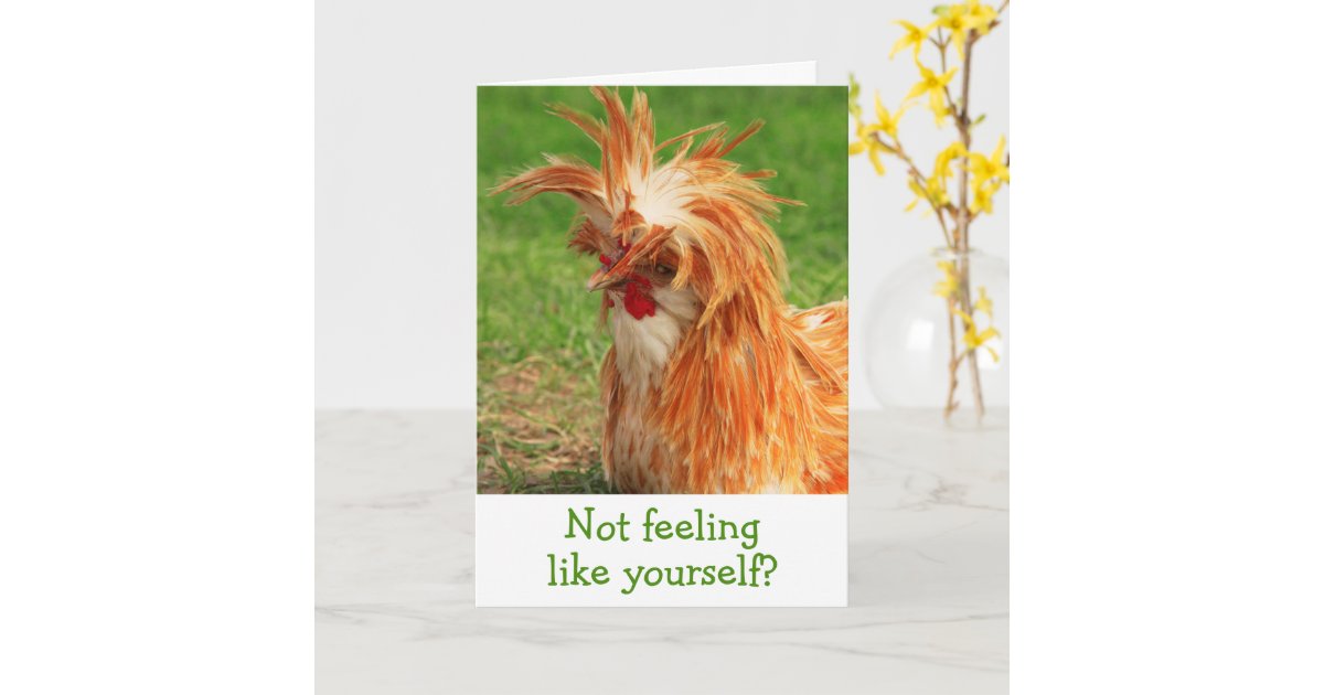 Funny Barnyard Chicken Get Well Card | Zazzle
