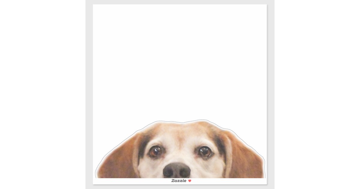 Funny Beagle Dog Half Face Sticker | Zazzle