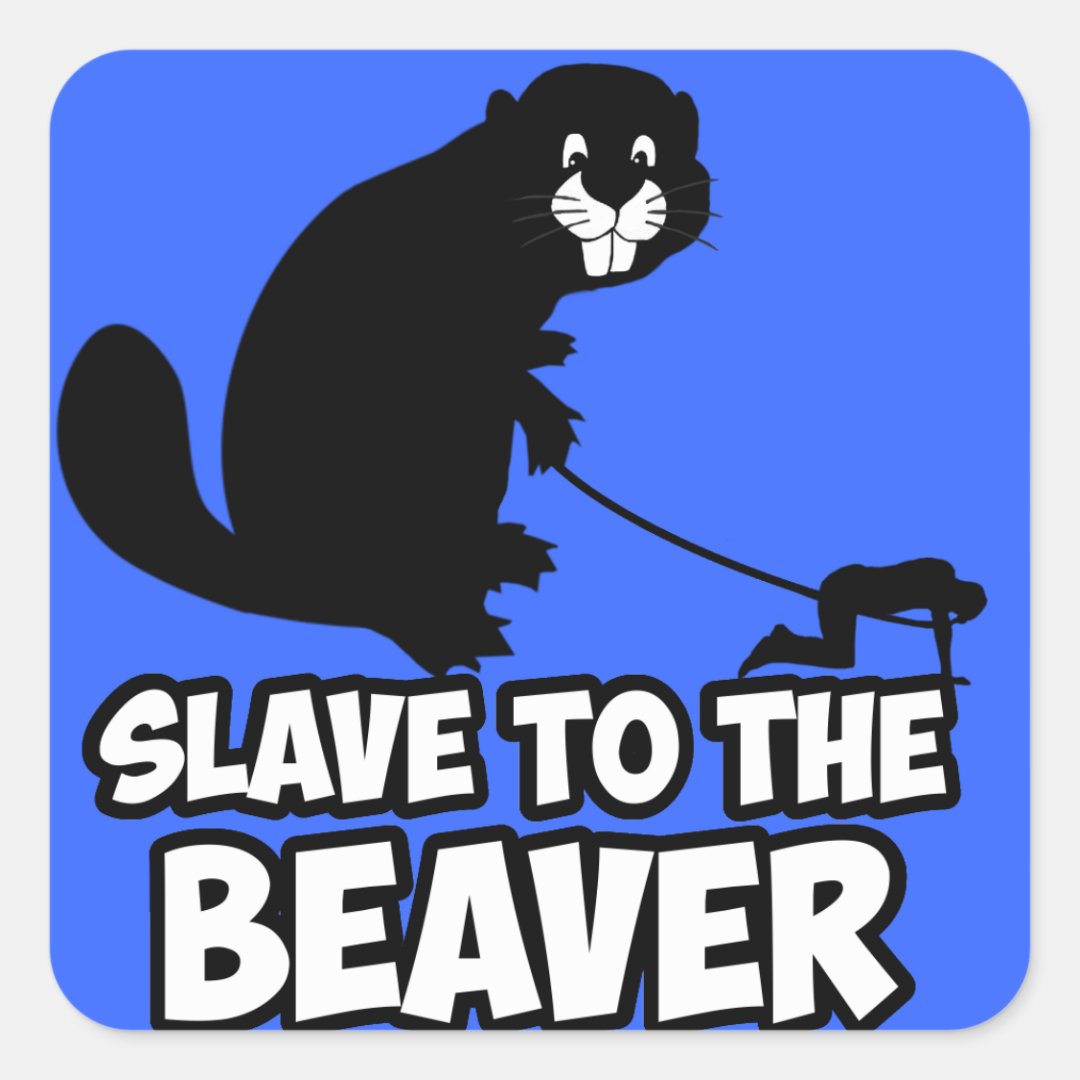 Funny Beaver Square Sticker | Zazzle