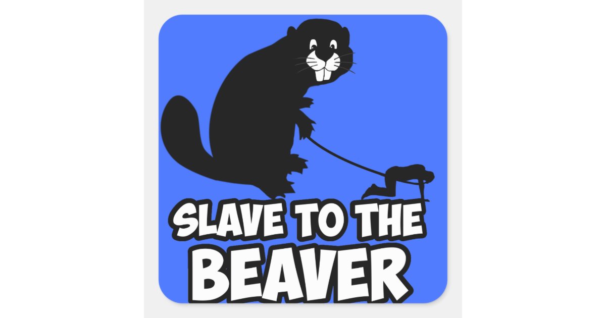 Funny Beaver Square Sticker | Zazzle