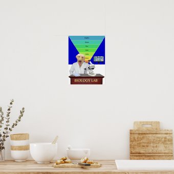 Funny Biology Lab Poster for Teachers | Zazzle