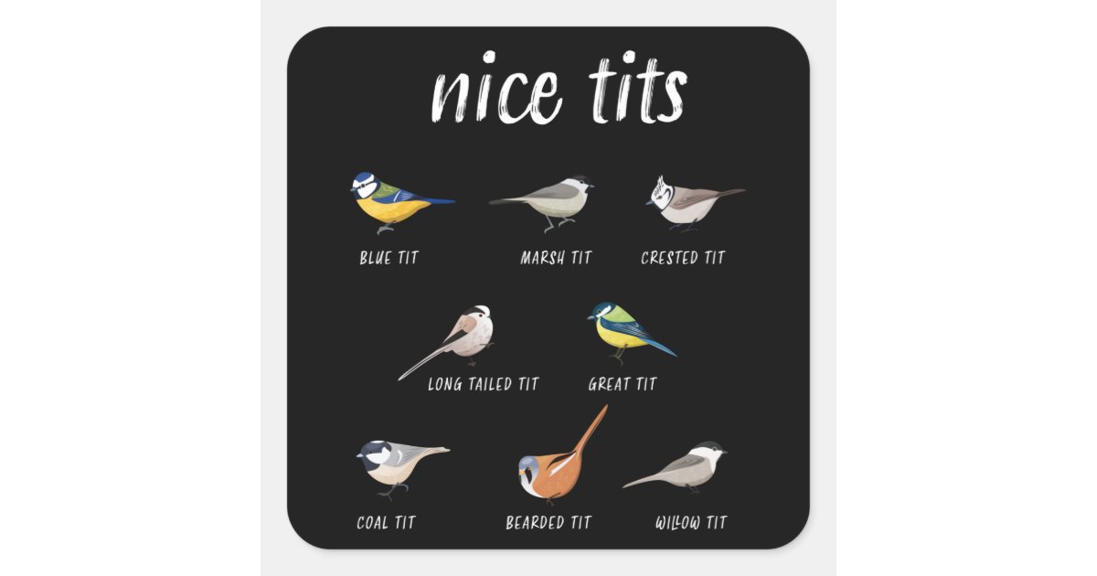 Funny birdwatching gift for birder bird watcher square sticker | Zazzle