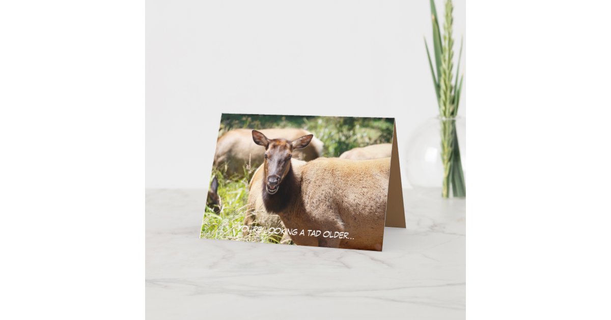 Funny Birthday card featuring elk | Zazzle