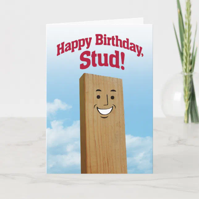Funny Birthday Card for a Stud | Zazzle