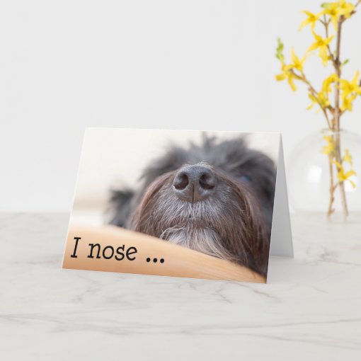 Funny Birthday Card - The Dog Nose | Zazzle