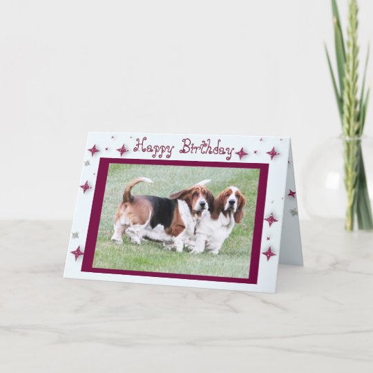 Funny Birthday Card w/Bone, Bassets, & Stars | Zazzle.com