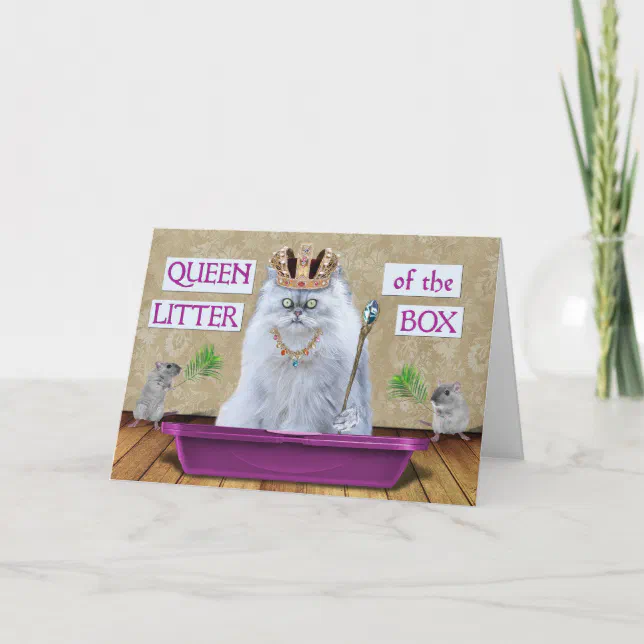 Funny Birthday Cat Queen of the Litter Box Humor Card | Zazzle