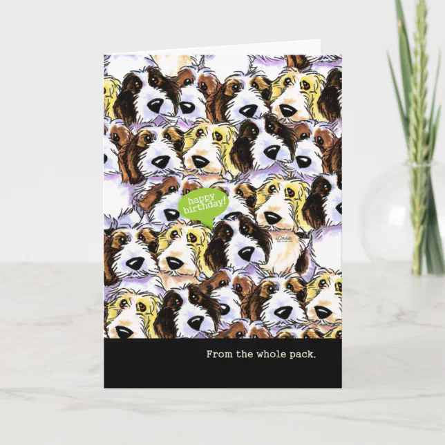 Funny Birthday from Group PBGV Dogs Card | Zazzle