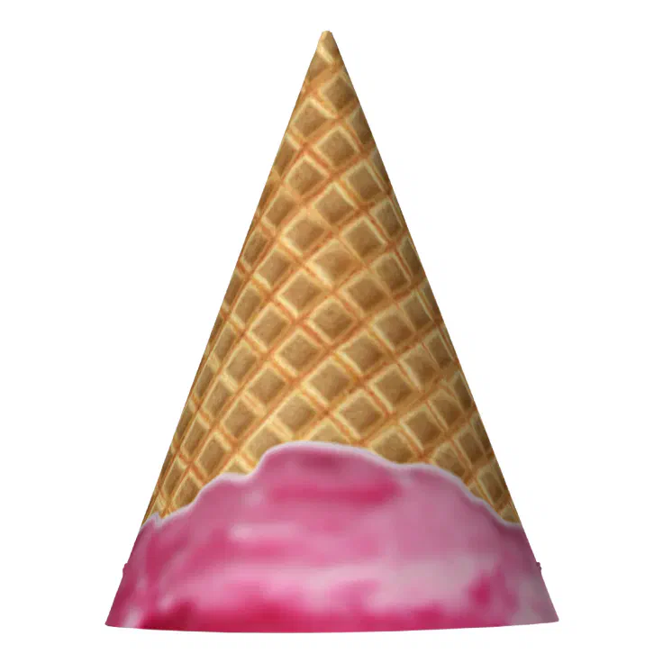 Funny Birthday Party Hat | Zazzle