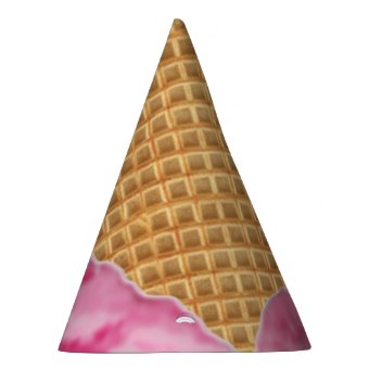 Funny Birthday Party Hat | Zazzle