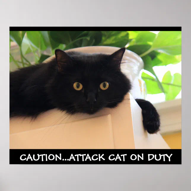 Funny Black Cat Poster, Attack Cat on Duty Poster | Zazzle