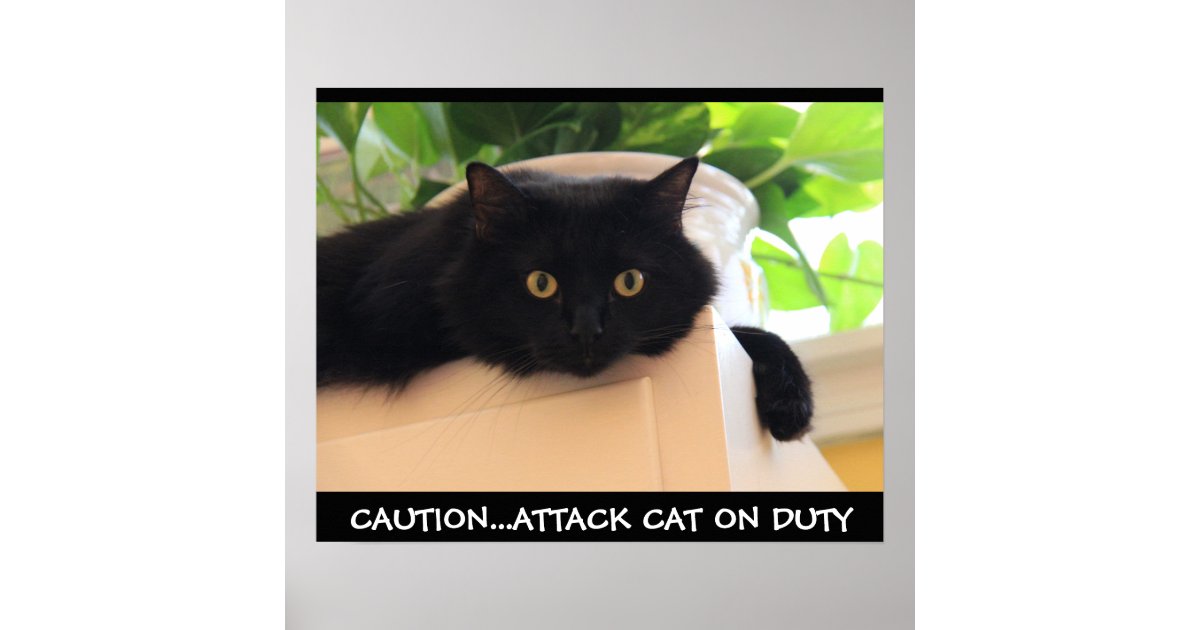 Funny Black Cat Poster, Attack Cat on Duty Poster | Zazzle