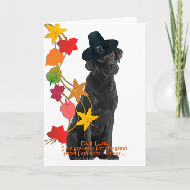 Funny Black Lab Thanksgiving Card | Zazzle