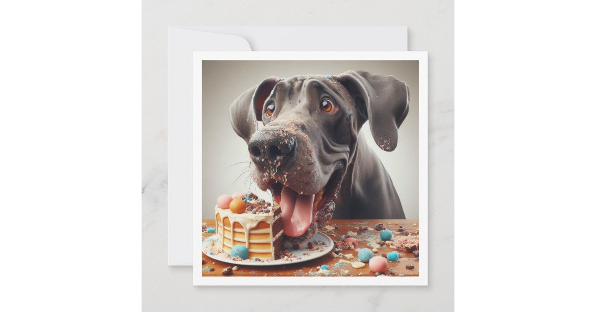 Funny Boxer card, Boxer Birthday Invitation | Zazzle